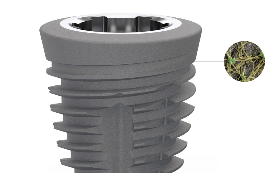 Neoss ProActive Tapered